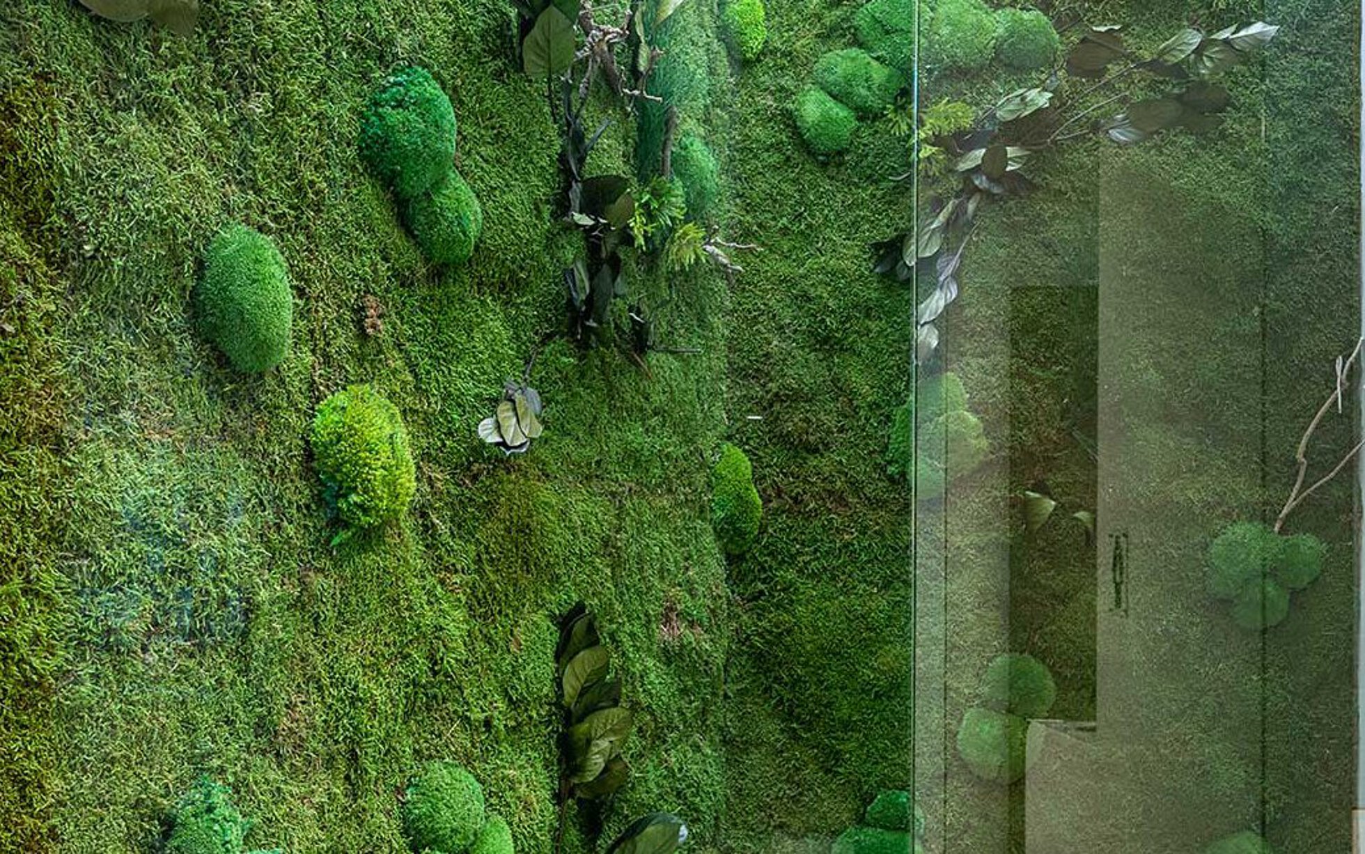 Freund GmbH - Ihr Mooswand Spezialist | Echtes Moos als akustisch ...