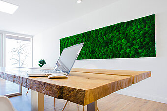 Freund GmbH - Ihr Mooswand Spezialist | Echtes Moos als akustisch ...