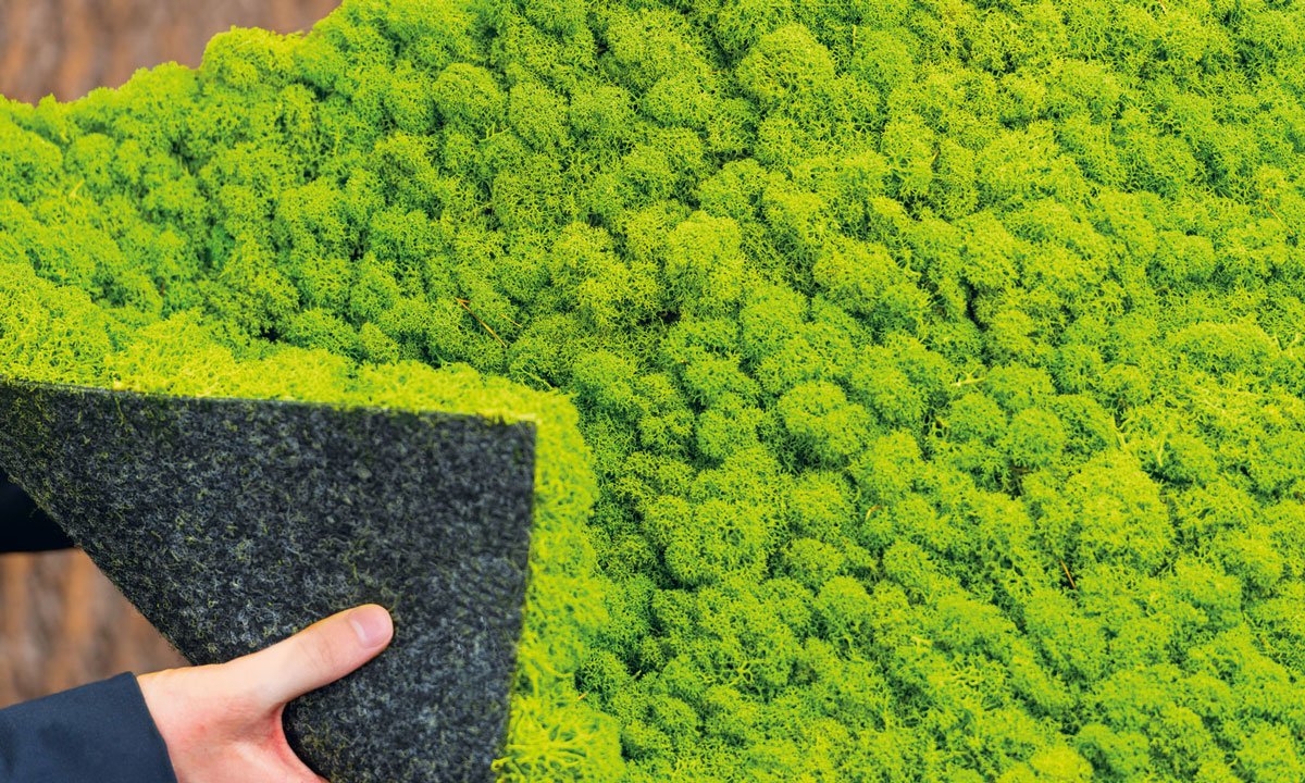 Freund GmbH - Moospaneele vom Mooswand Spezialist Freund GmbH ...