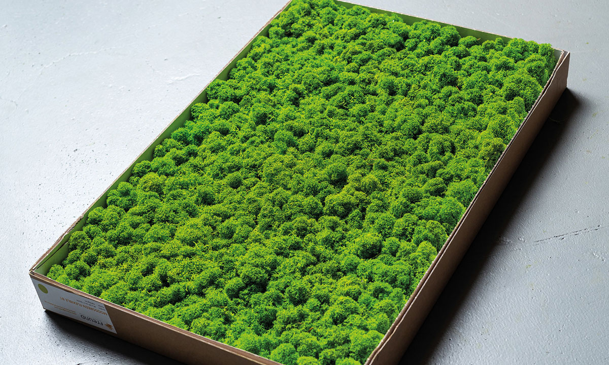 Freund GmbH - Moospaneele vom Mooswand Spezialist Freund GmbH ...