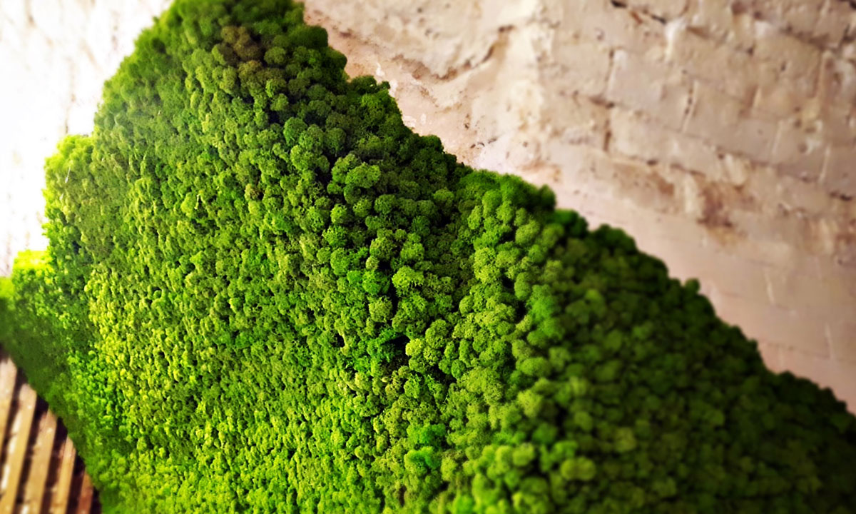 Freund GmbH - Moospaneele vom Mooswand Spezialist Freund GmbH ...