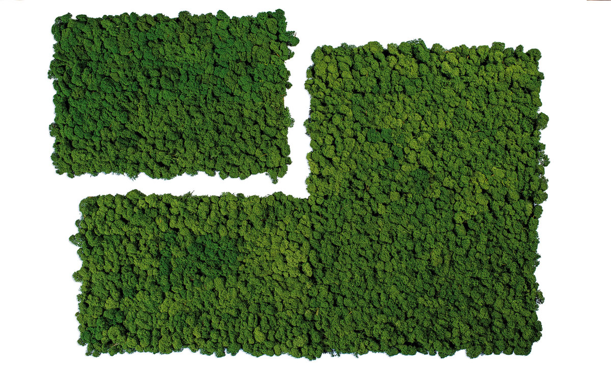 Freund GmbH - Moospaneele vom Mooswand Spezialist Freund GmbH ...