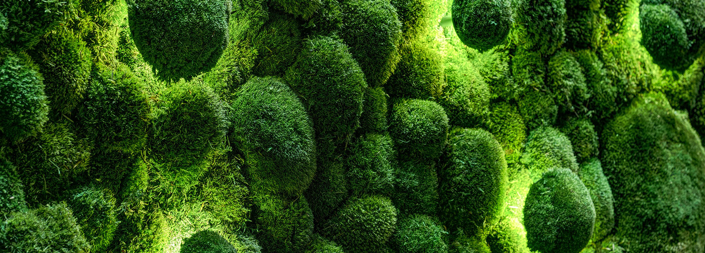 Freund GmbH - Moss luminaires